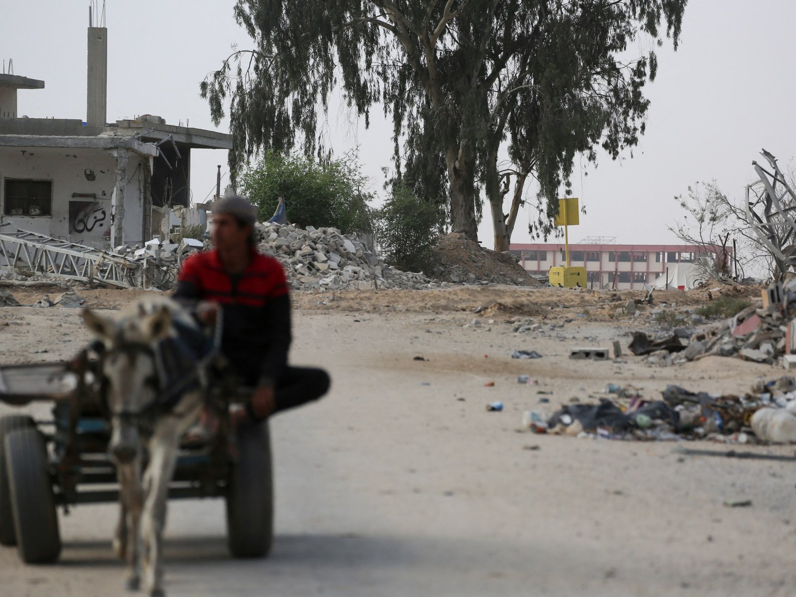 Why did Wikipedia cofounder block edits to the ‘Gaza genocide’ page ...